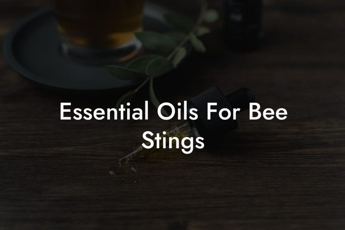 Essential Oils For Bee Stings | Oshu | Artisan Essential Oils