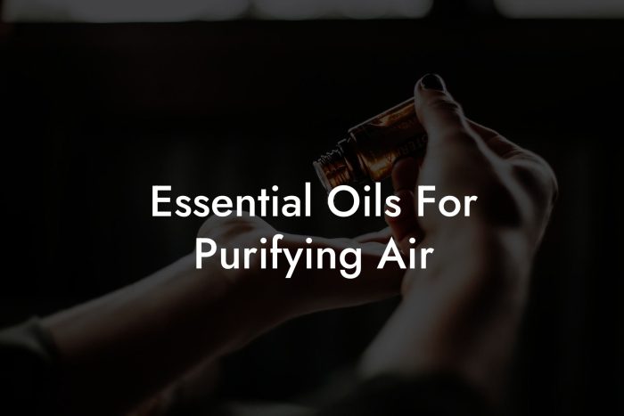Essential Oils For Purifying Air | Oshu | Artisan Essential Oils