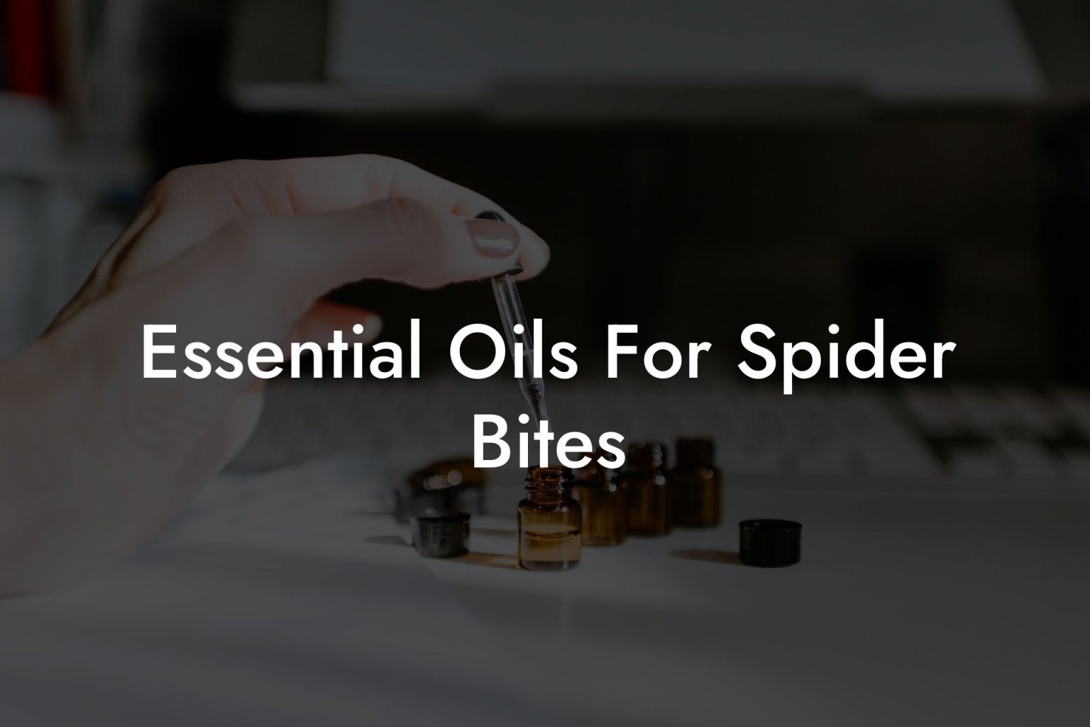 Essential Oils For Spider Bites Oshu Artisan Essential Oils