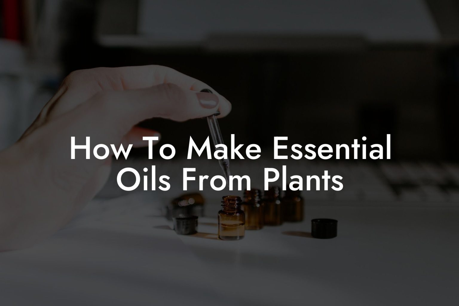 How To Make Essential Oils From Plants | Oshu | Artisan Essential Oils