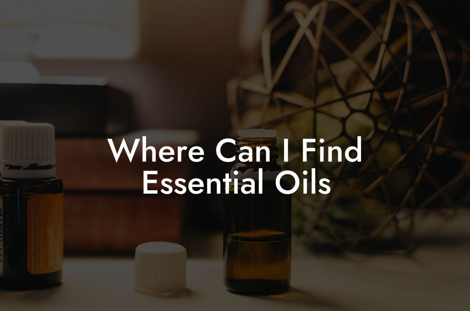 What Essential Oils Go With Eucalyptus | Oshu | Artisan Essential Oils